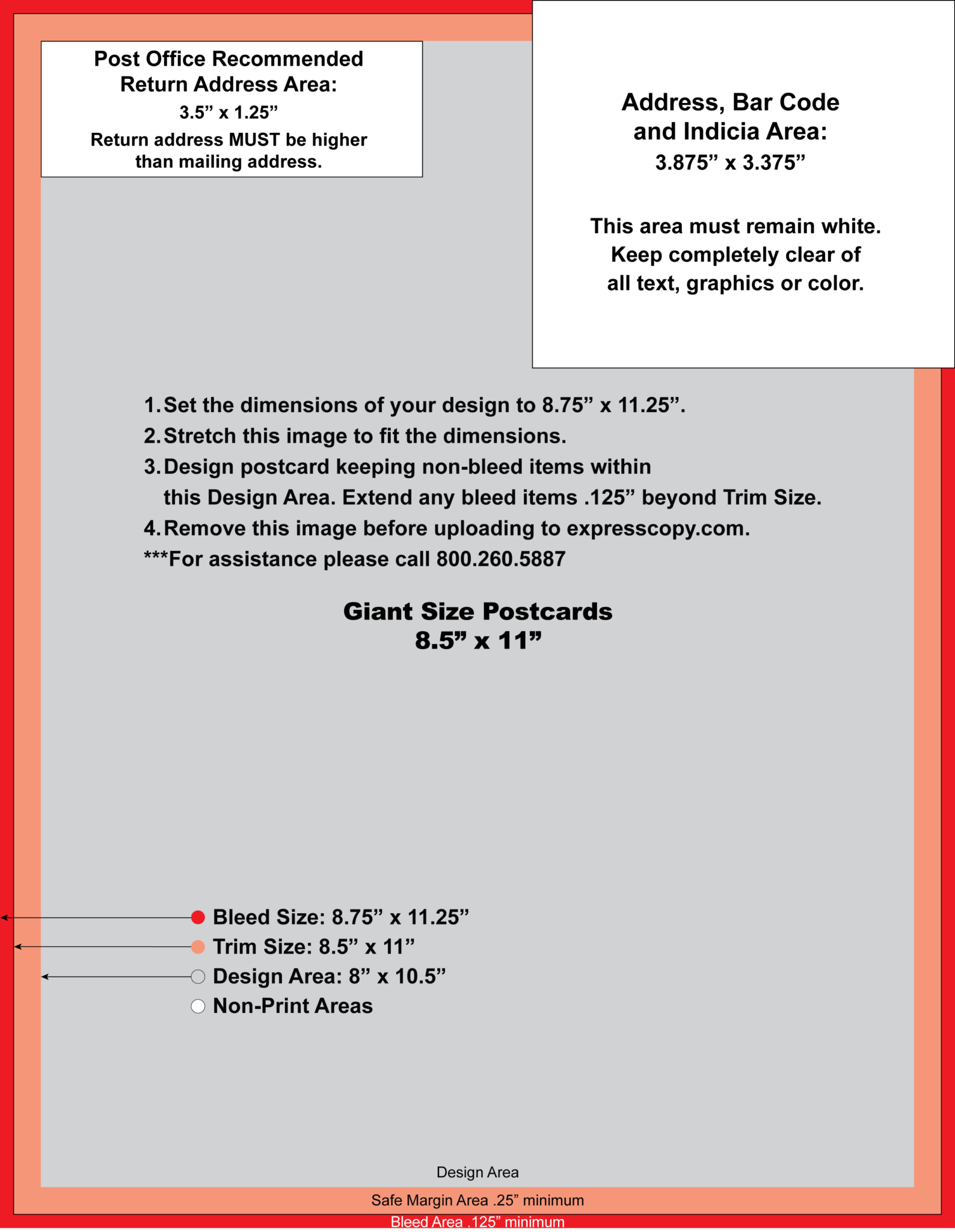 Postcard Template USPS Requirements