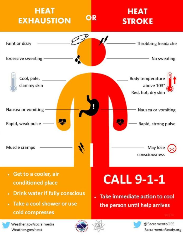 OSHA Heat Illness Prevention Program Template