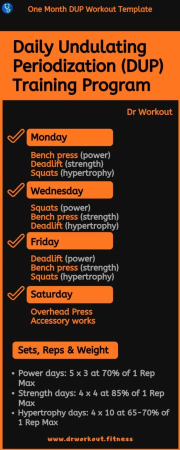 12 Week Periodized Training Program Template