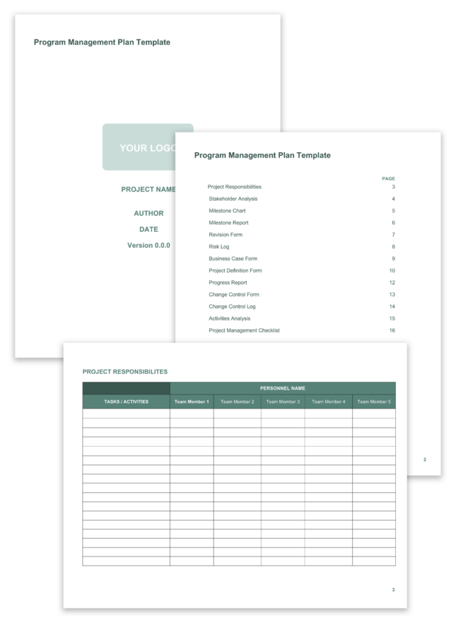 PMI Program Management Plan Template