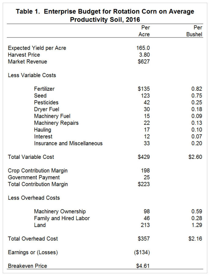 Small Horse Farm Budget Template